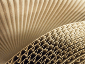 What Is Carton Packaging? | Types, Benefits & Applications